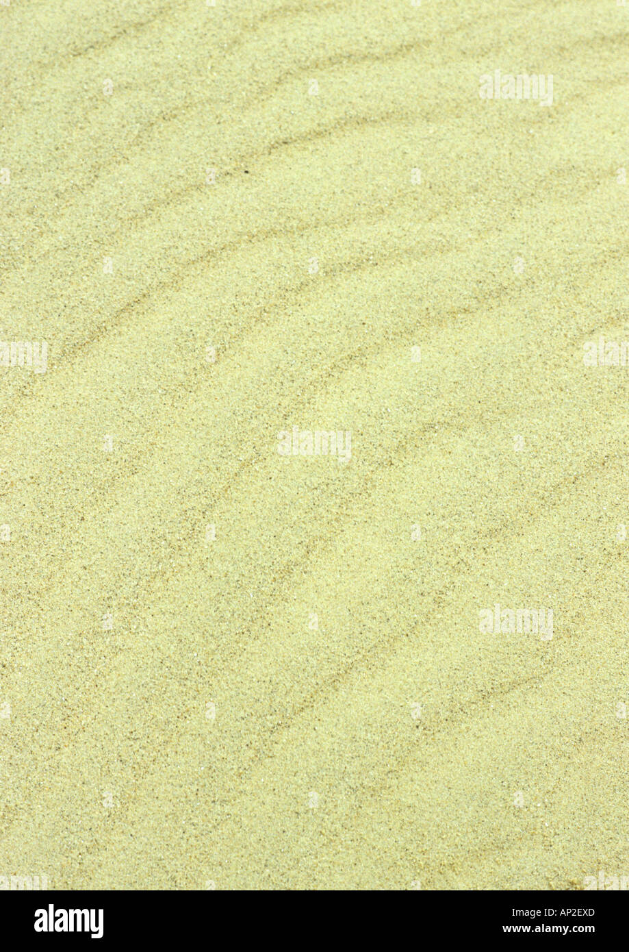 Grain of sand up close hi-res stock photography and images - Alamy