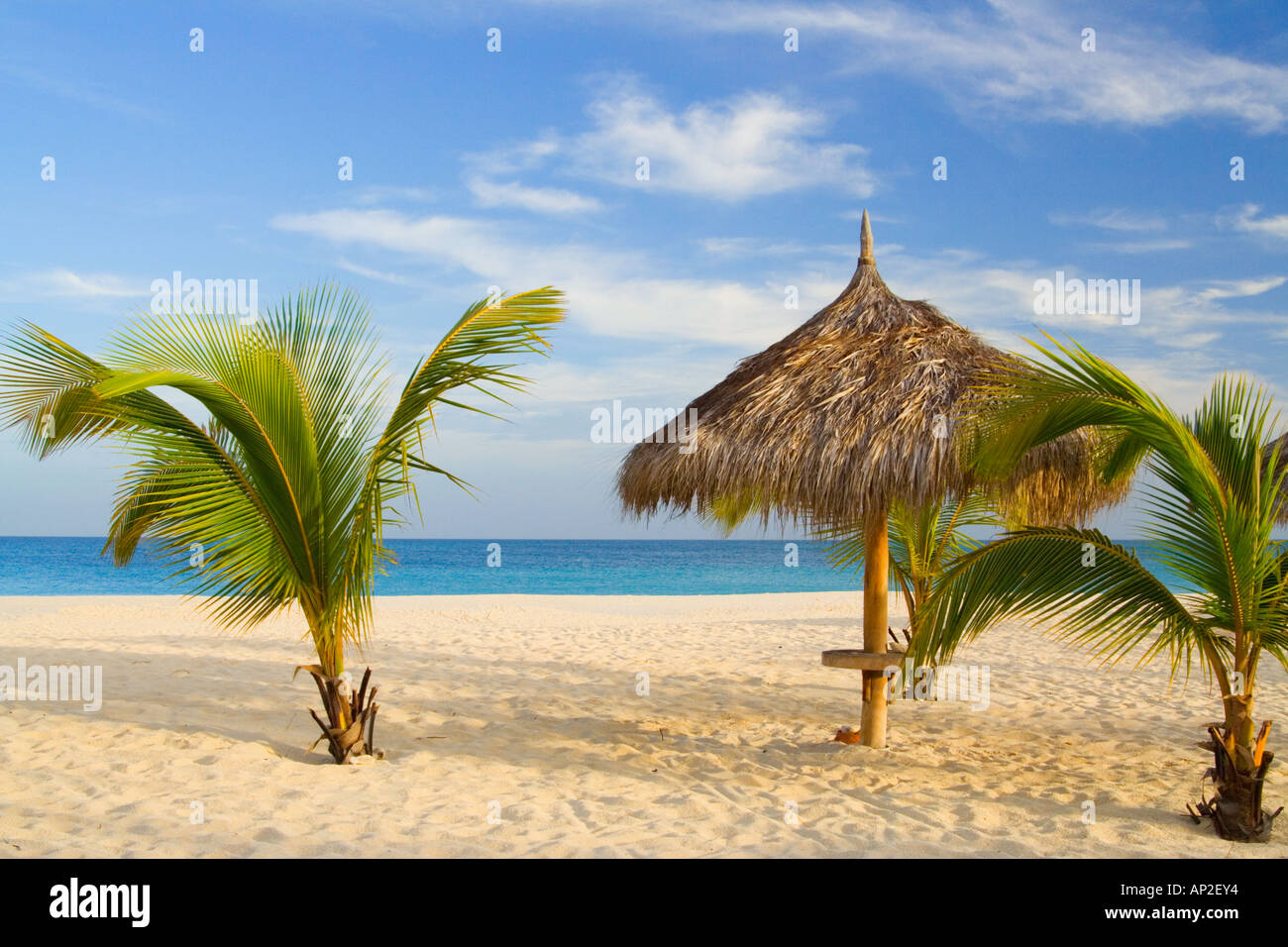 Aruba palapa palms beach caribbean hi-res stock photography and images ...
