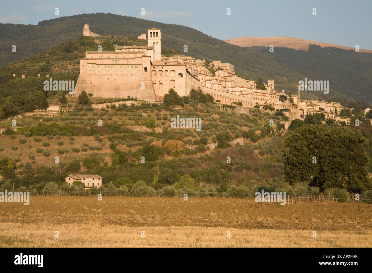 Basilica di San Francesco Assisi Italy An UNESCO World Heritage site ...