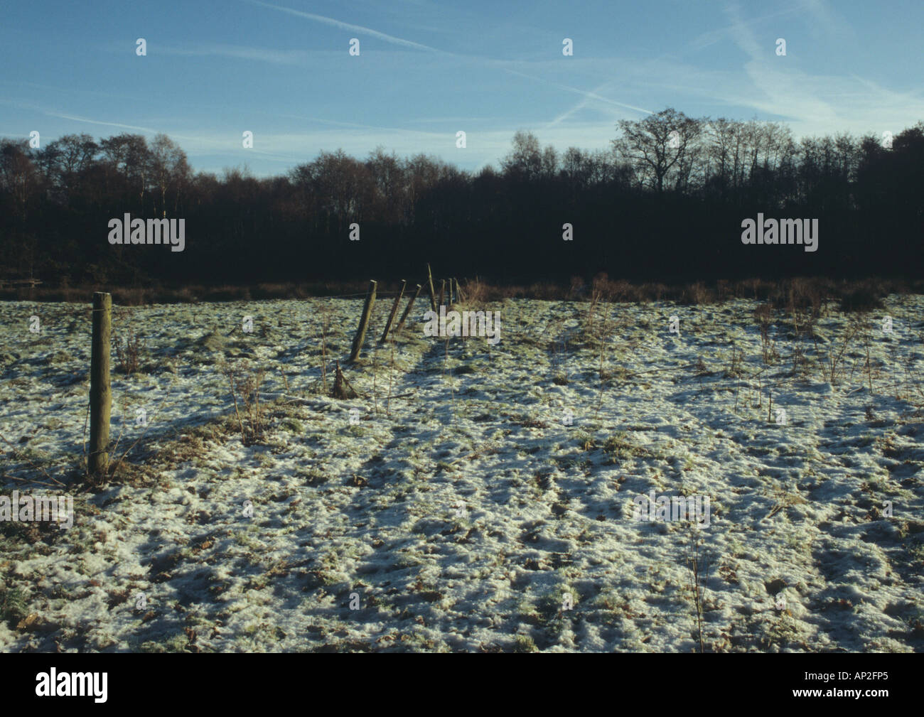 Snow At Beccles Common in Suffolk Uk Stock Photo - Alamy