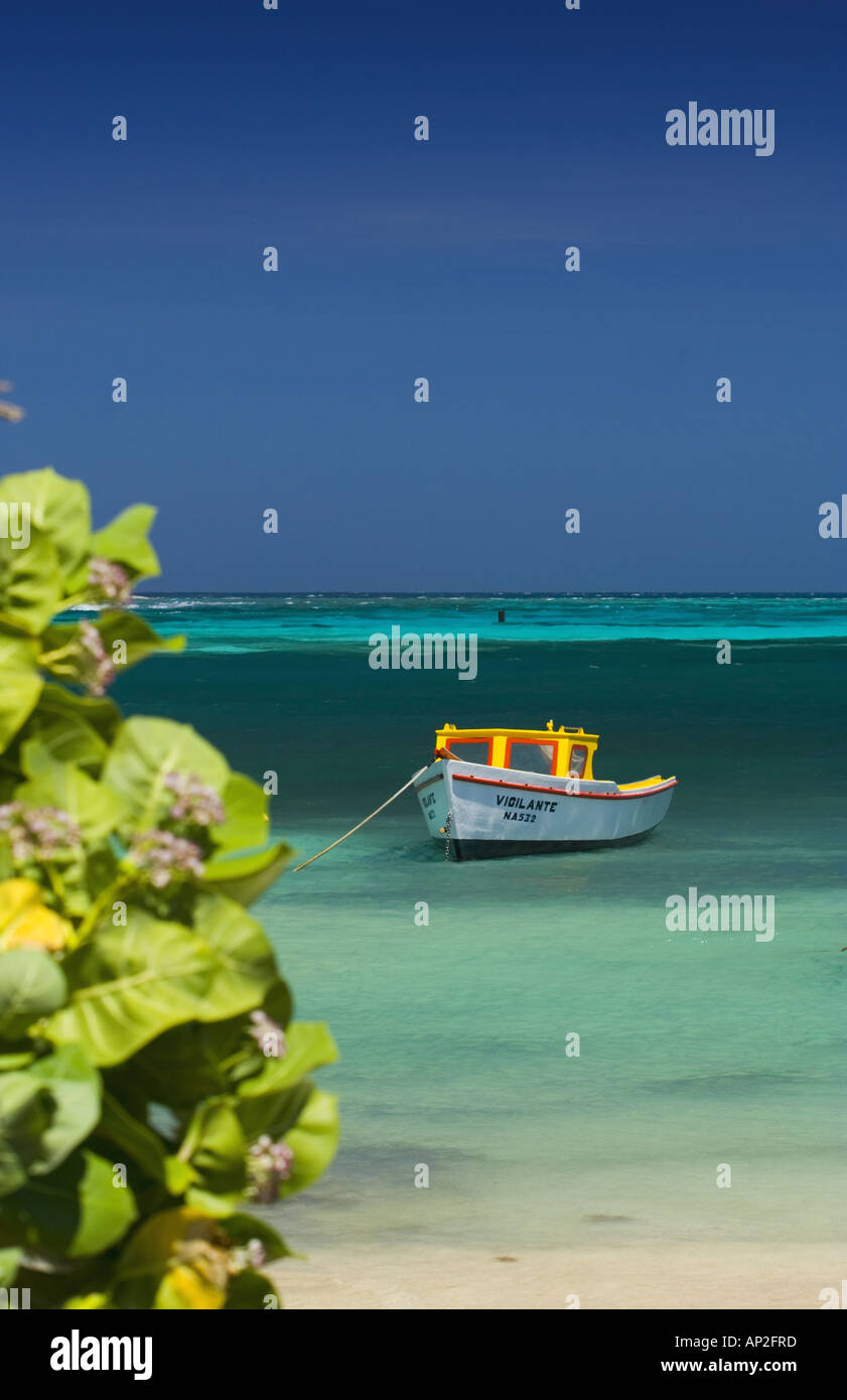 Sea grapes and fishing boat near rogers beach Aruba Stock Photo - Alamy