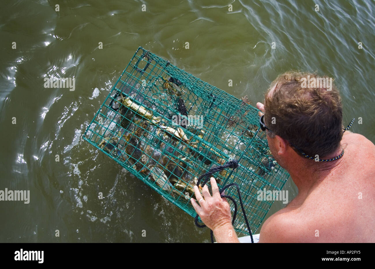 Bacteria trap hi-res stock photography and images - Alamy
