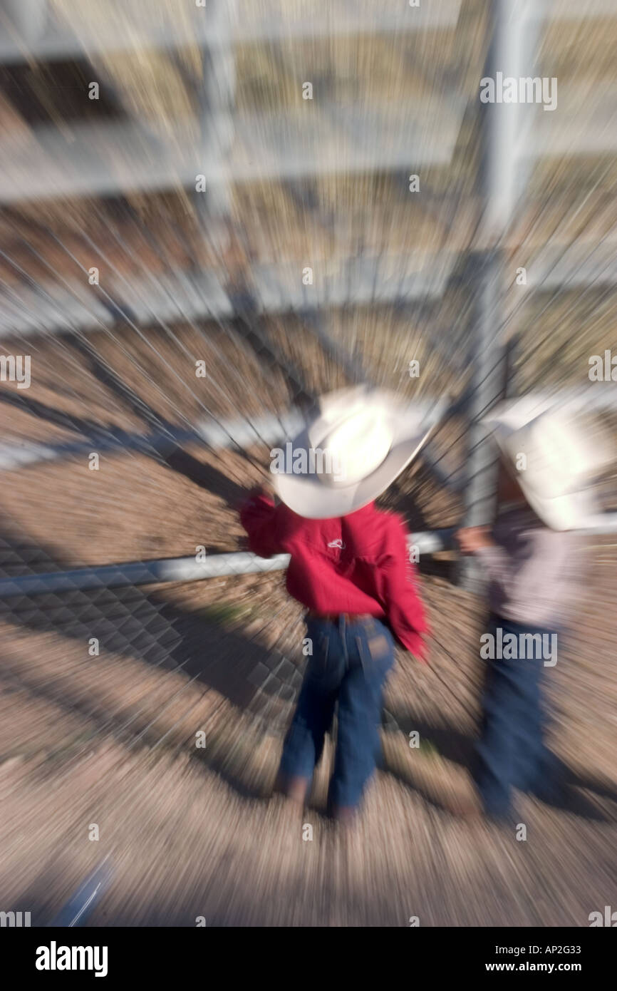 Zoomed close ups of young cowboys fans at the Tucson Rodeo competition ...