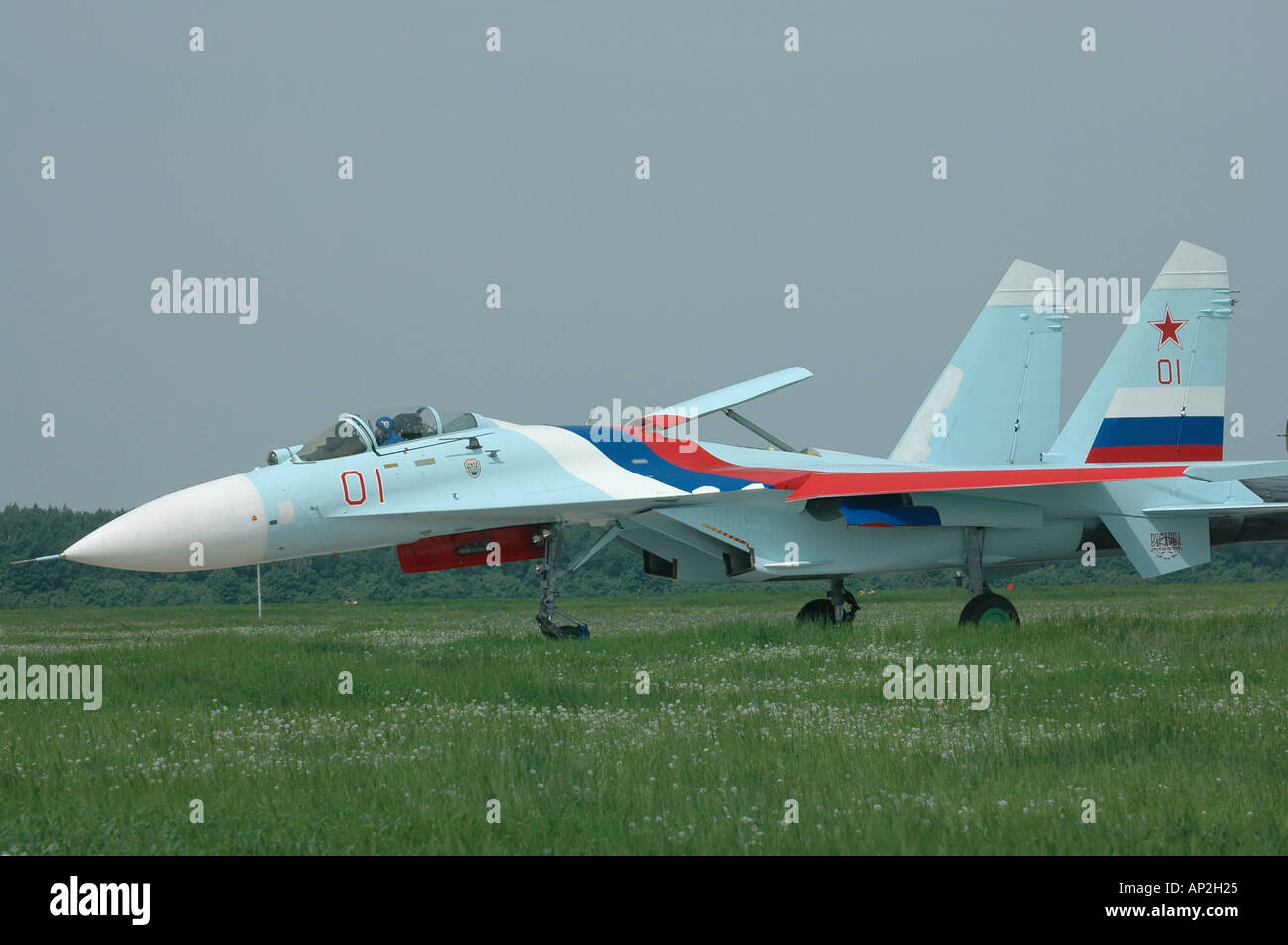 Fighter SU 27 on a runway Stock Photo - Alamy