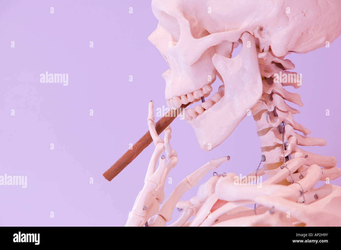 A human skeleton smoking a cigar Stock Photo - Alamy