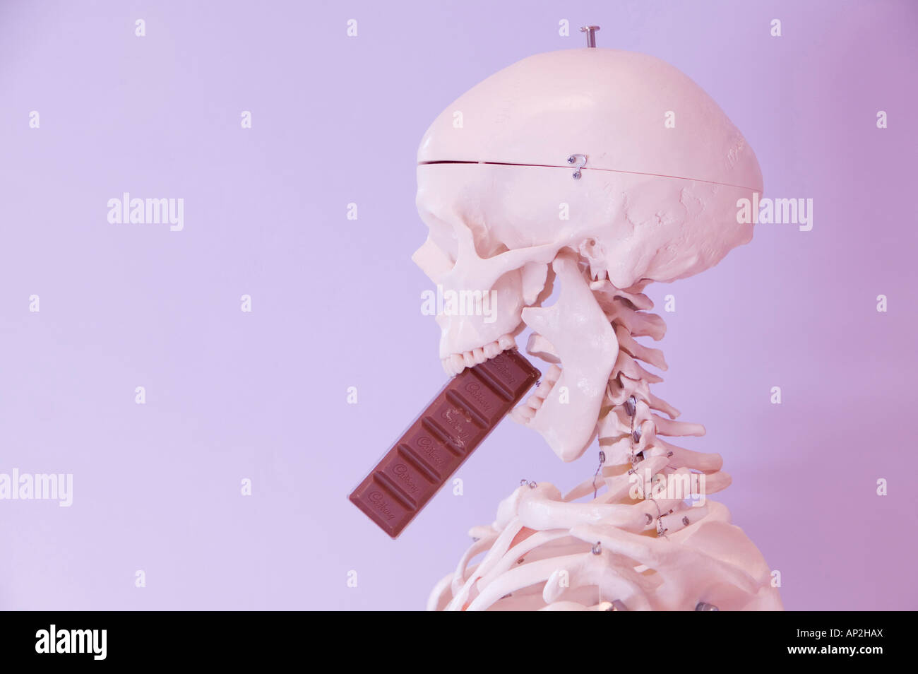 A human skeleton eating a bar of chocolate Stock Photo - Alamy