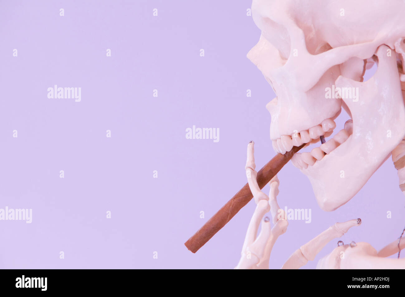 A human skeleton smoking a cigar Stock Photo - Alamy