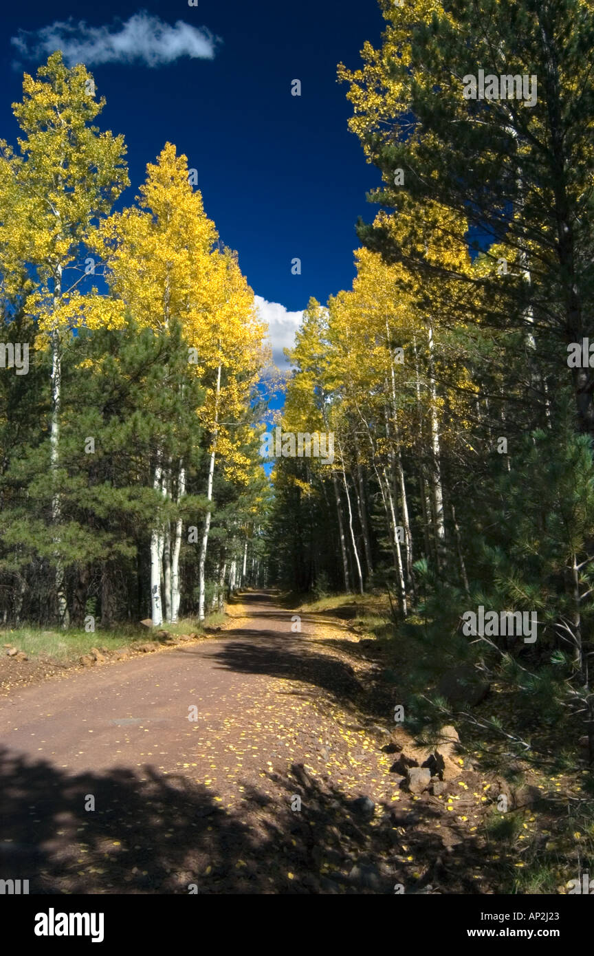 Arizona quake hi-res stock photography and images - Alamy