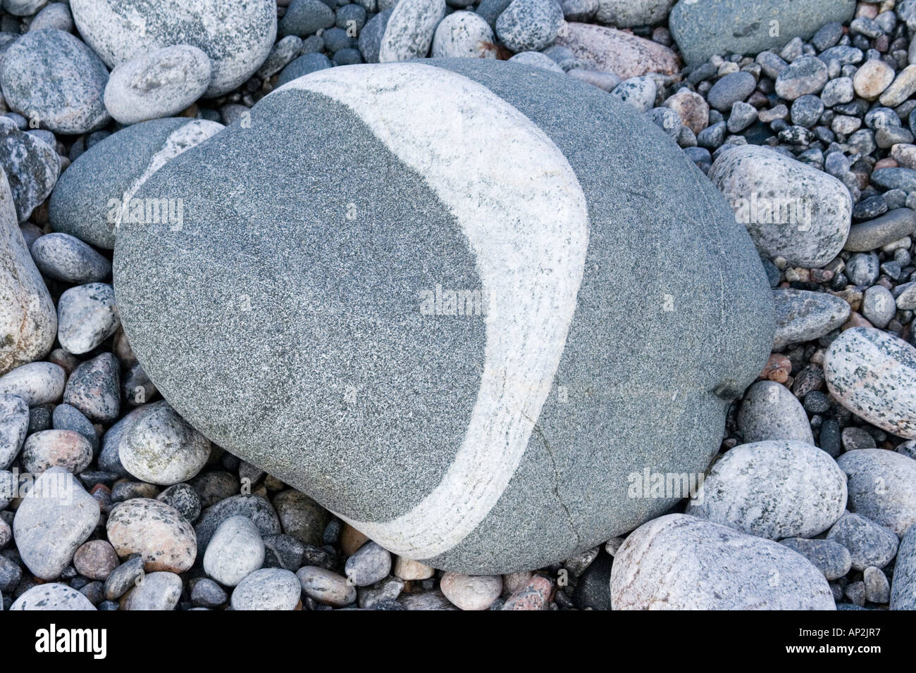 Large pebble/stone lying on a pebble beach Stock Photo - Alamy