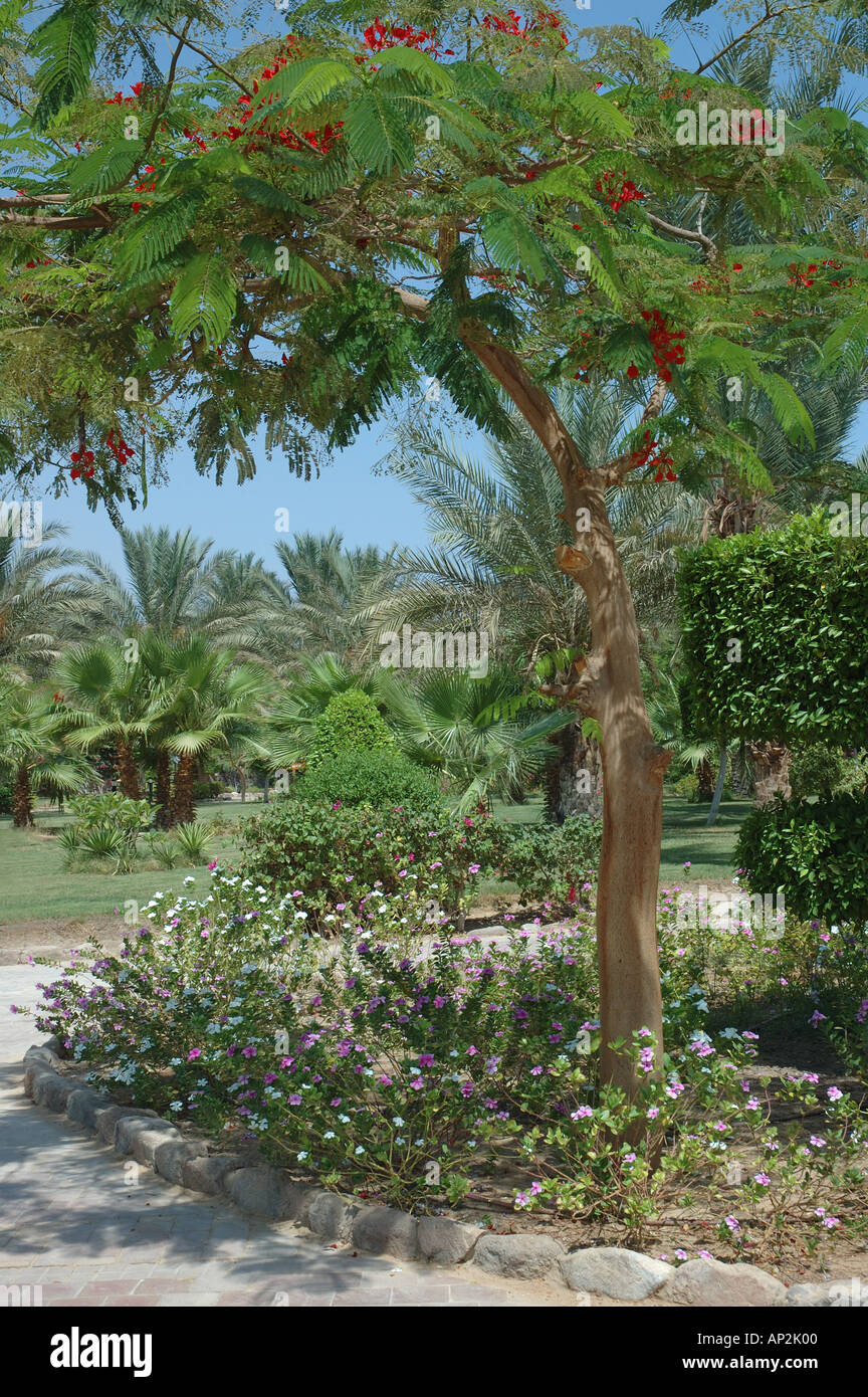 Egyptian garden hi-res stock photography and images - Alamy