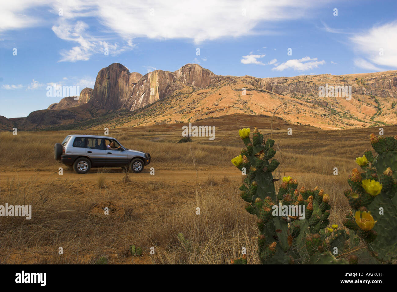 Jeep safari through Madagaskar, Africa Stock Photo - Alamy