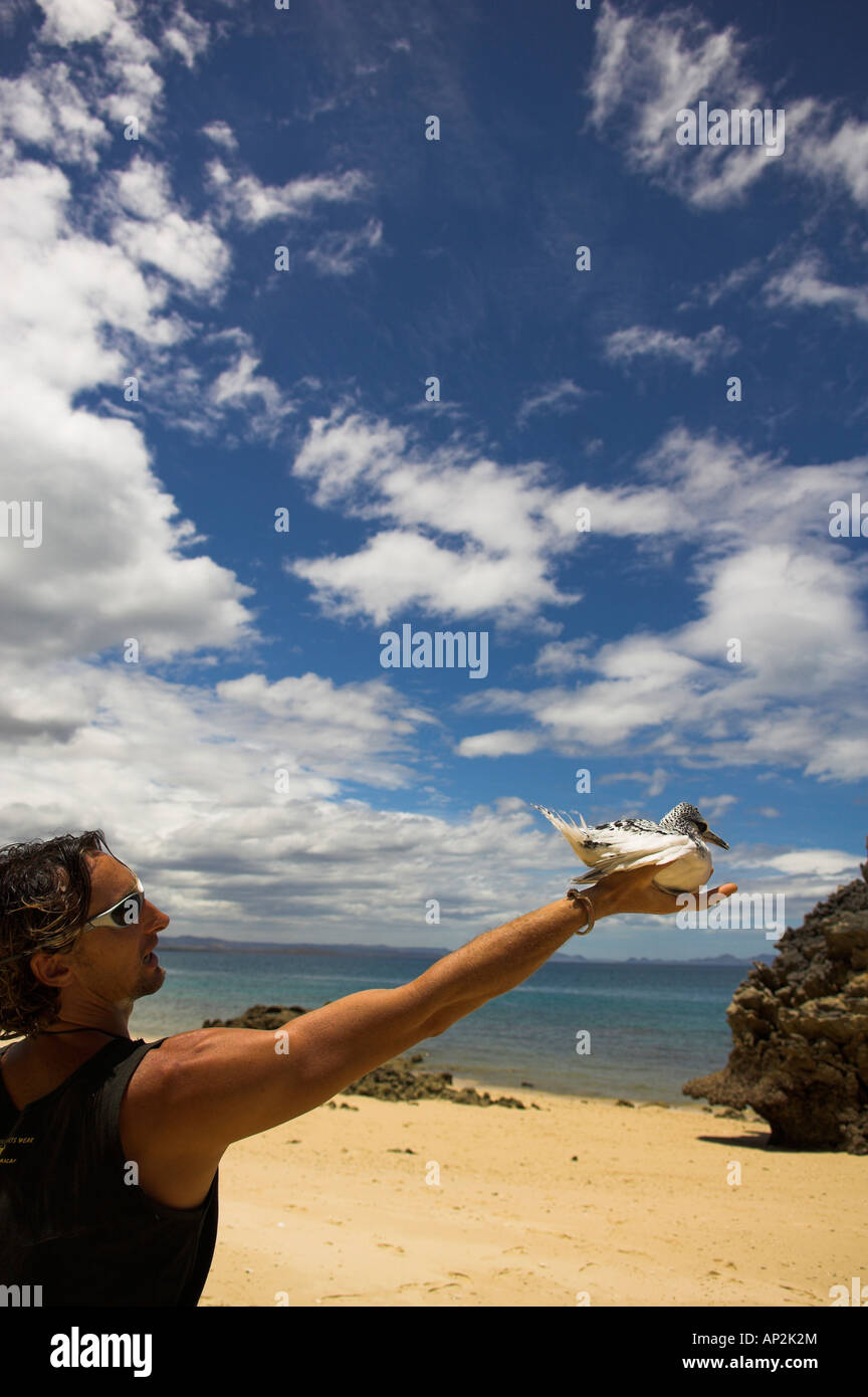Man holding bird hi-res stock photography and images - Alamy
