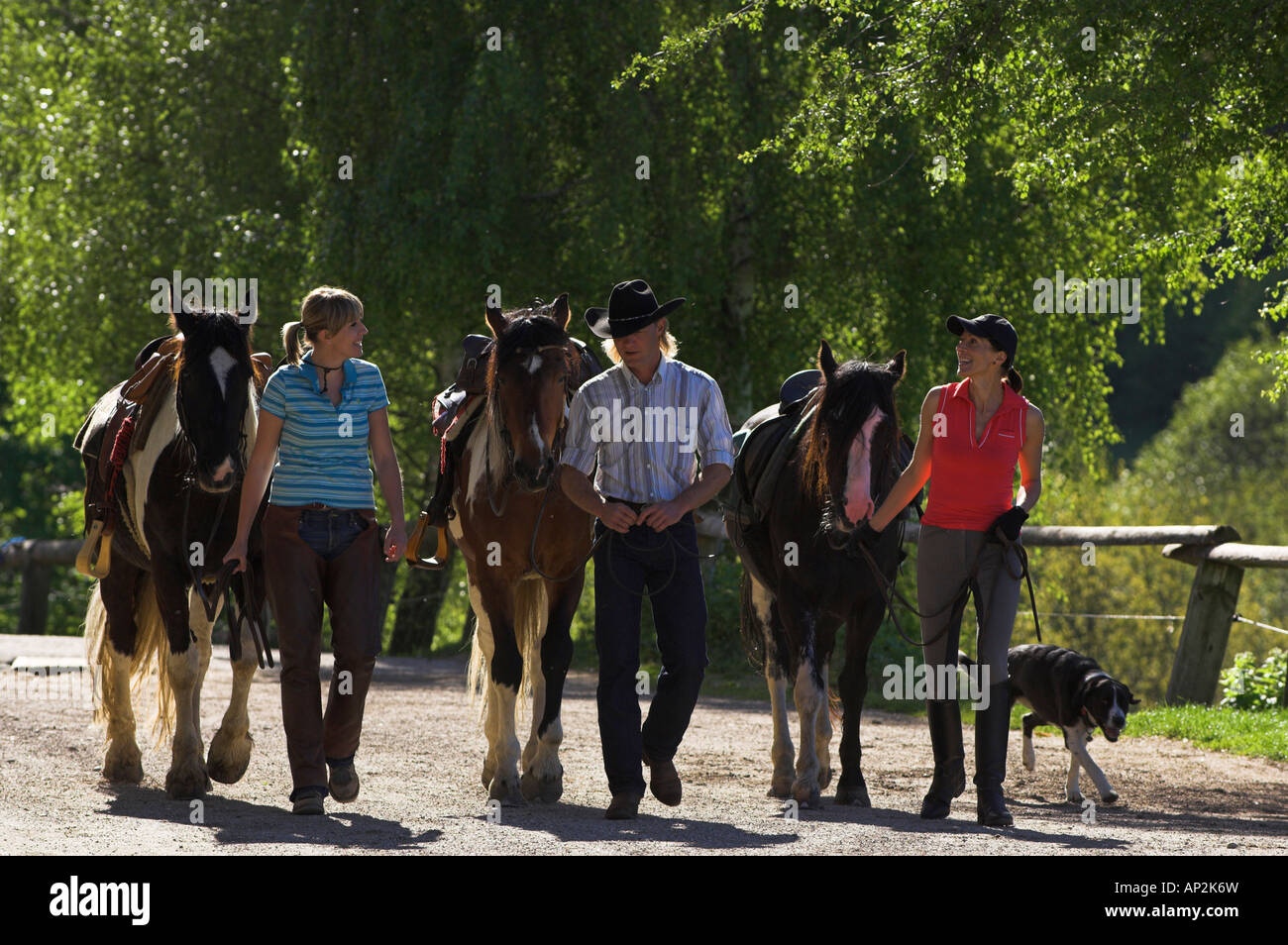 Three horseriders going riding with their horses and a dog ...