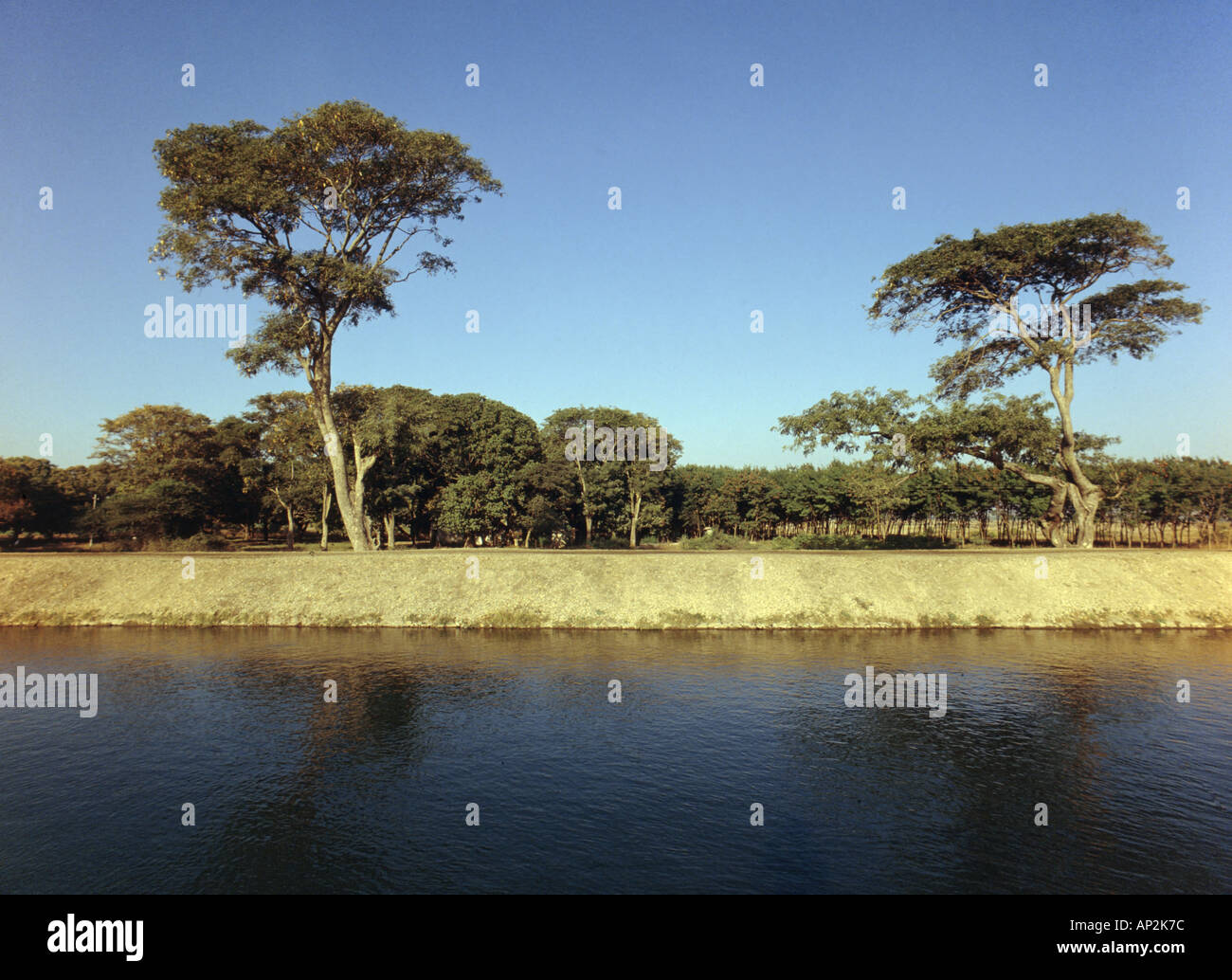 AAD72385 Irrigation River Agriculture Maharashtra INDIA Stock Photo - Alamy