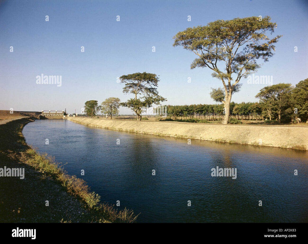 AAD72387 Irrigation River Agriculture Maharashtra INDIA Stock Photo - Alamy