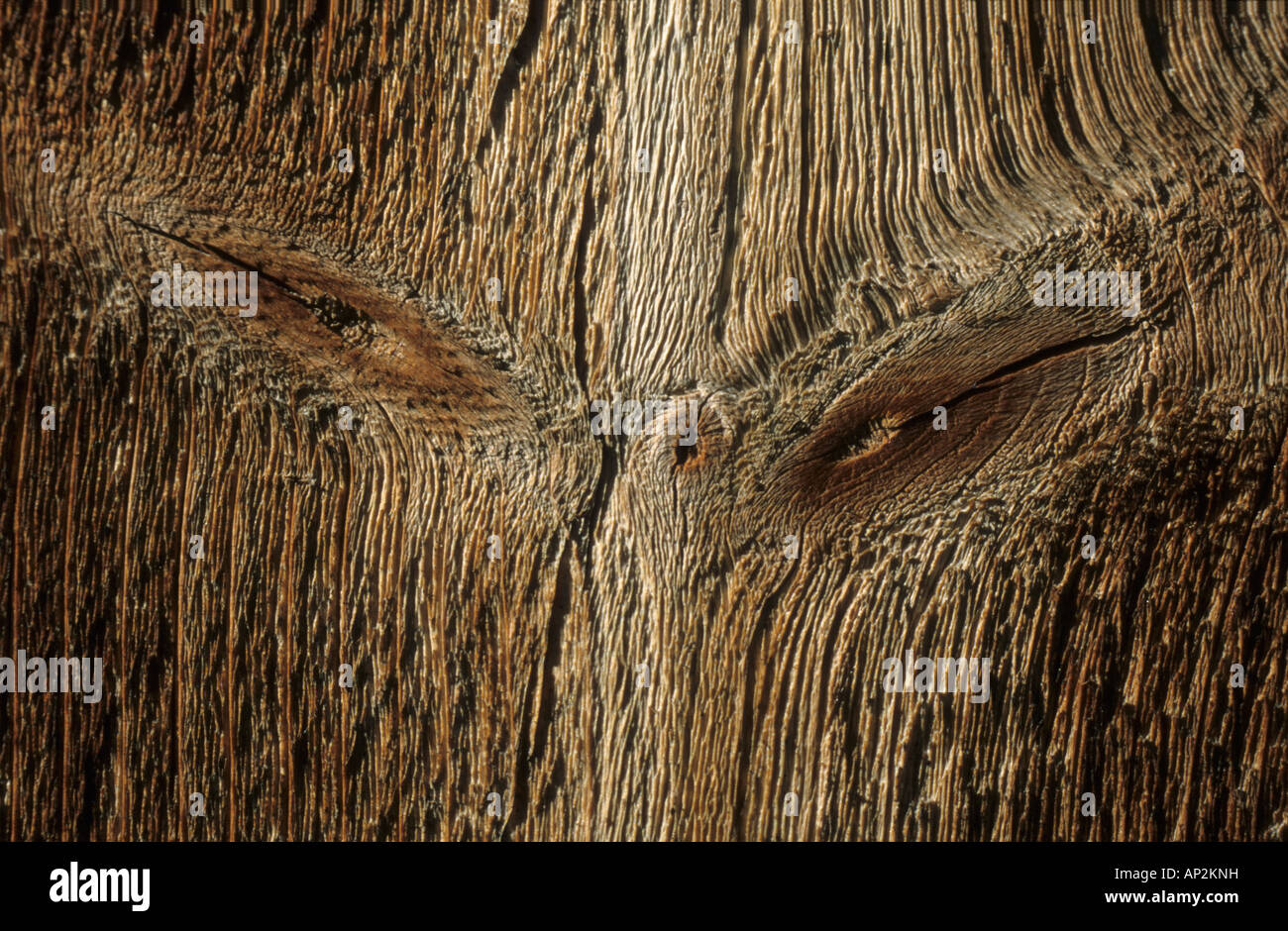 structure in wood like a pair of eyes Stock Photo - Alamy