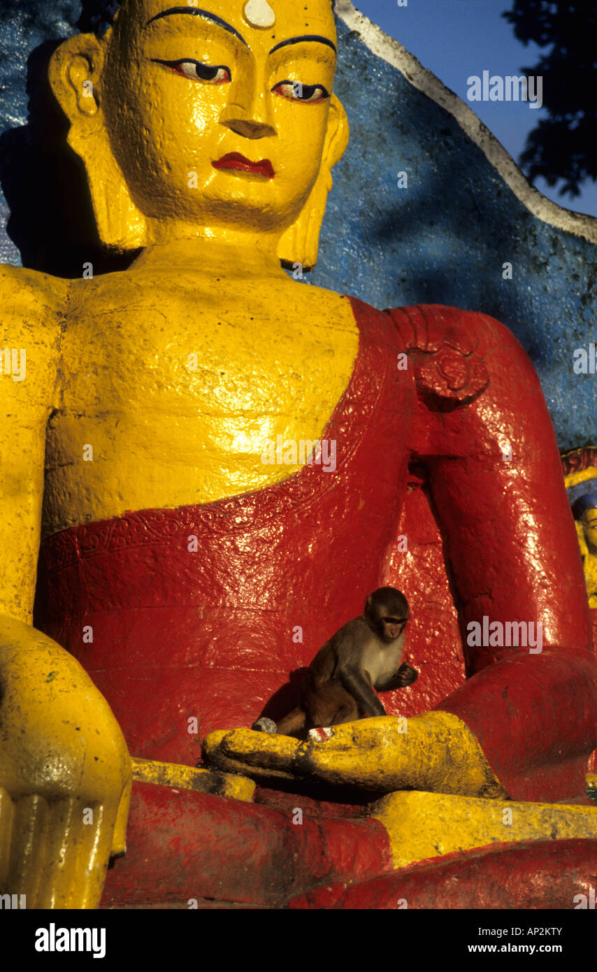 Buddha figure in Kathmandu, Nepal Stock Photo - Alamy