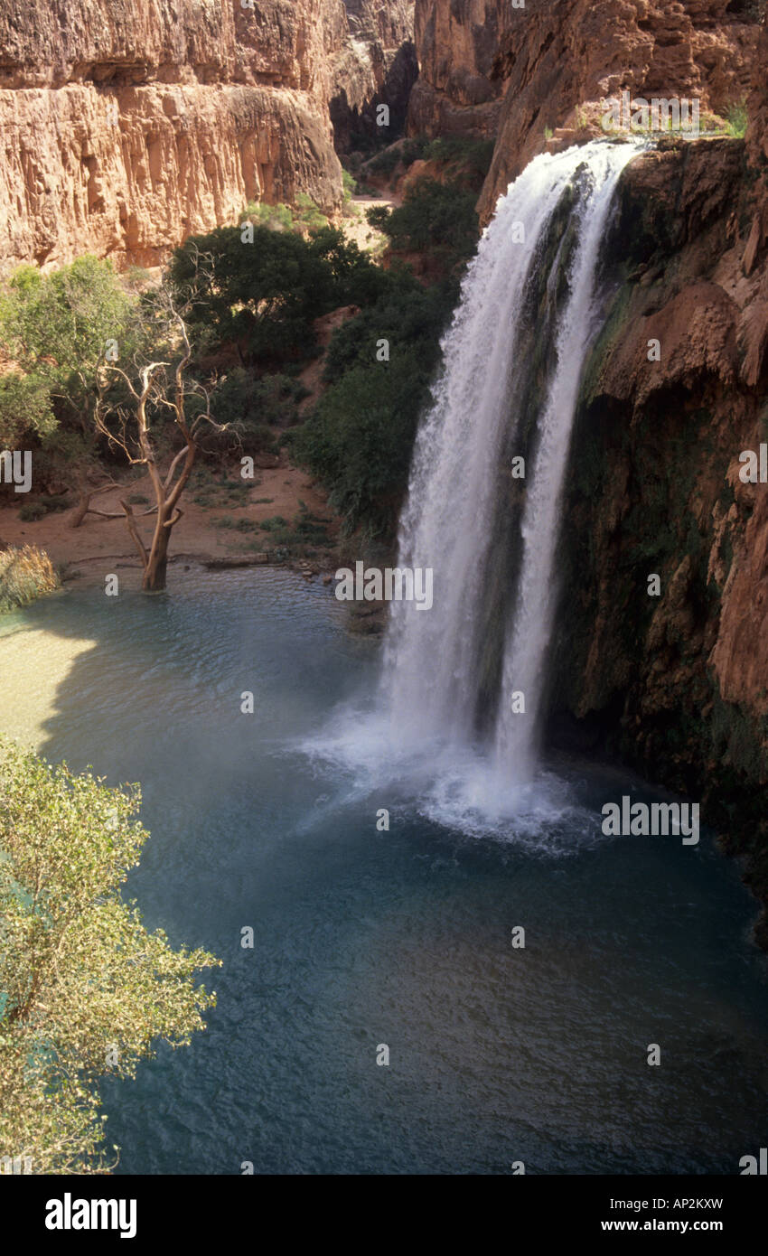 Havasupai walk hi-res stock photography and images - Alamy