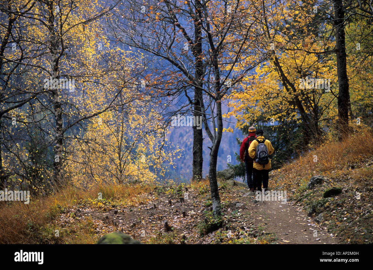 two hikers on footpath Sentiero Panoramico with trees in autumn colours ...