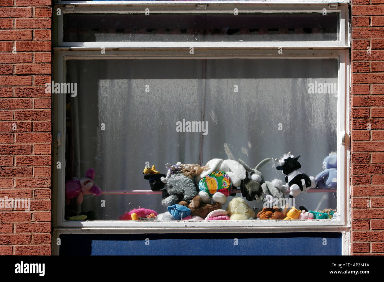 Collection of toys squashed against inside windows of first floor flat ...