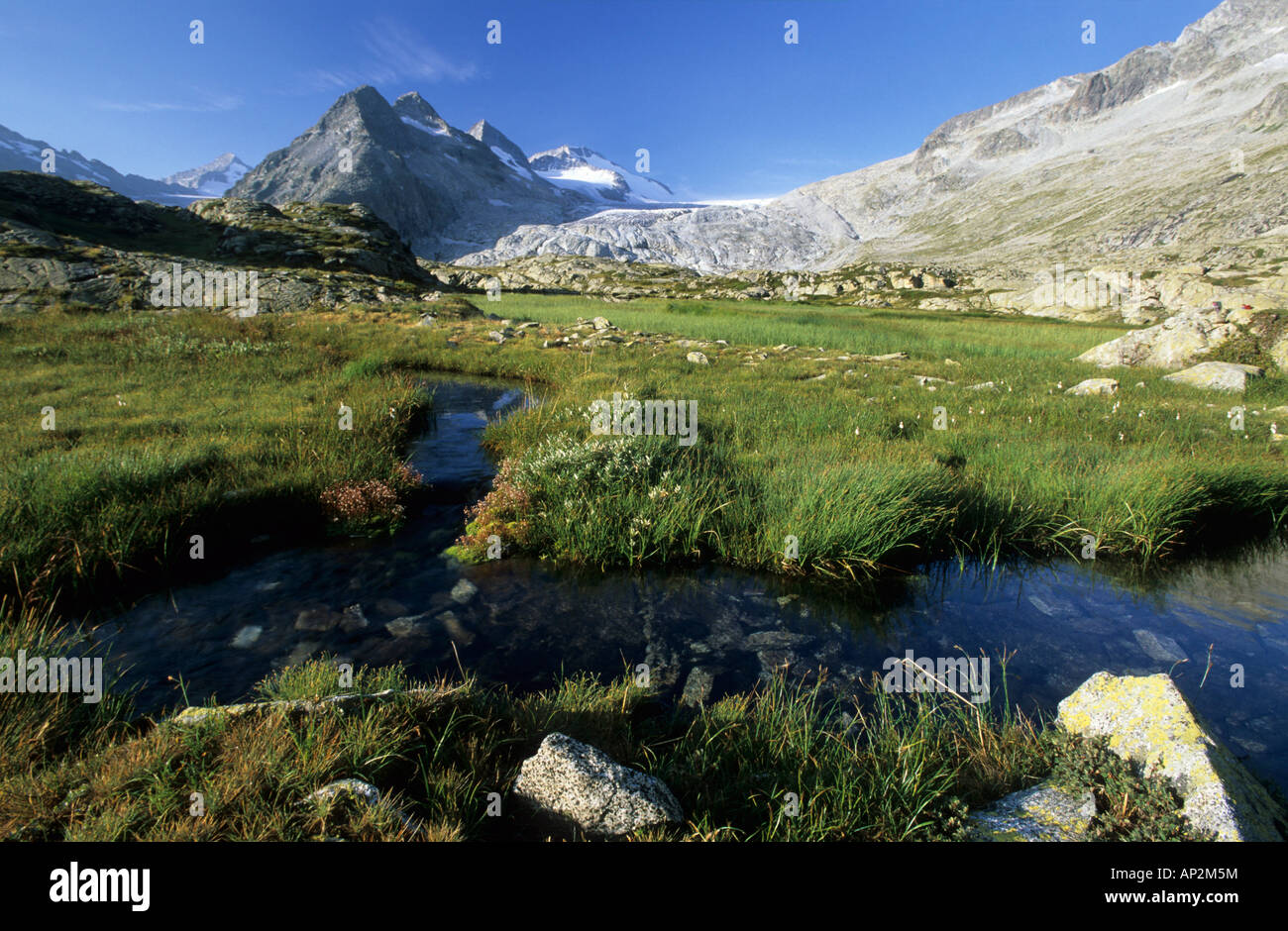 swamp and stream with view to Lobbia, Adamello range, Italy Stock Photo ...