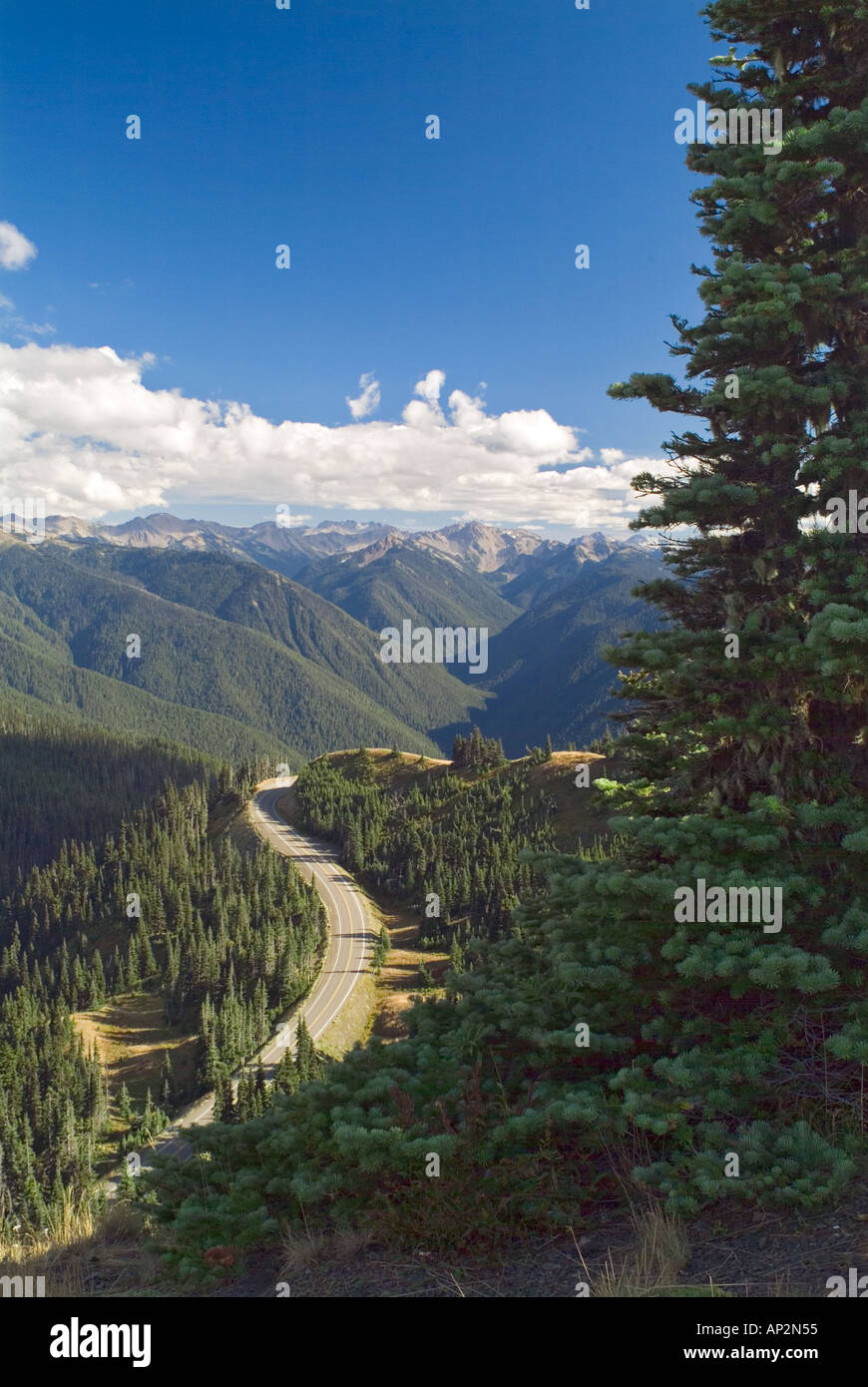 Olympic National Park Hurricane Ridge Washington State WA mountains ...