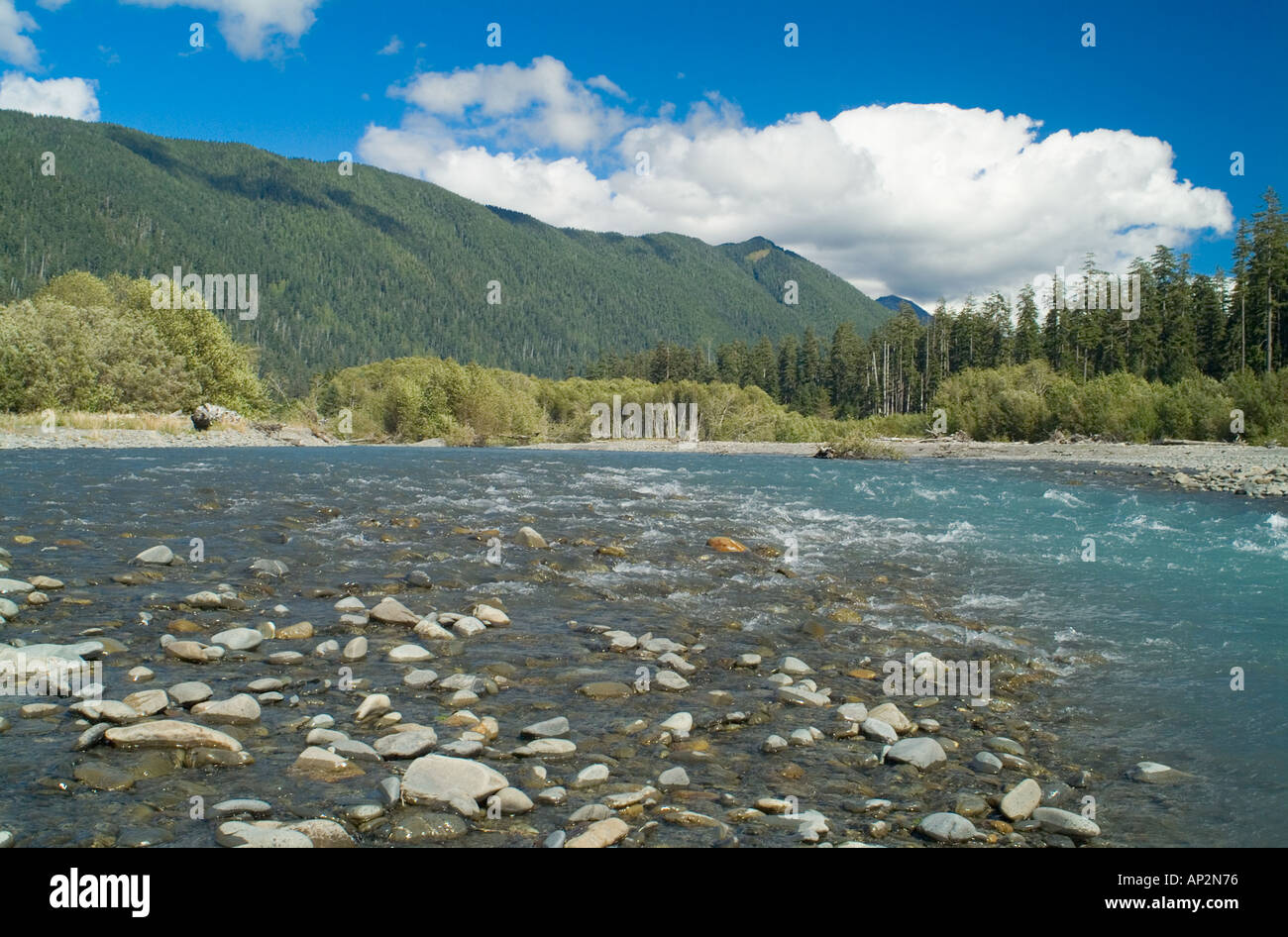 Hoh River at Hoh Rainforest Olympic National Park Washington State WA ...