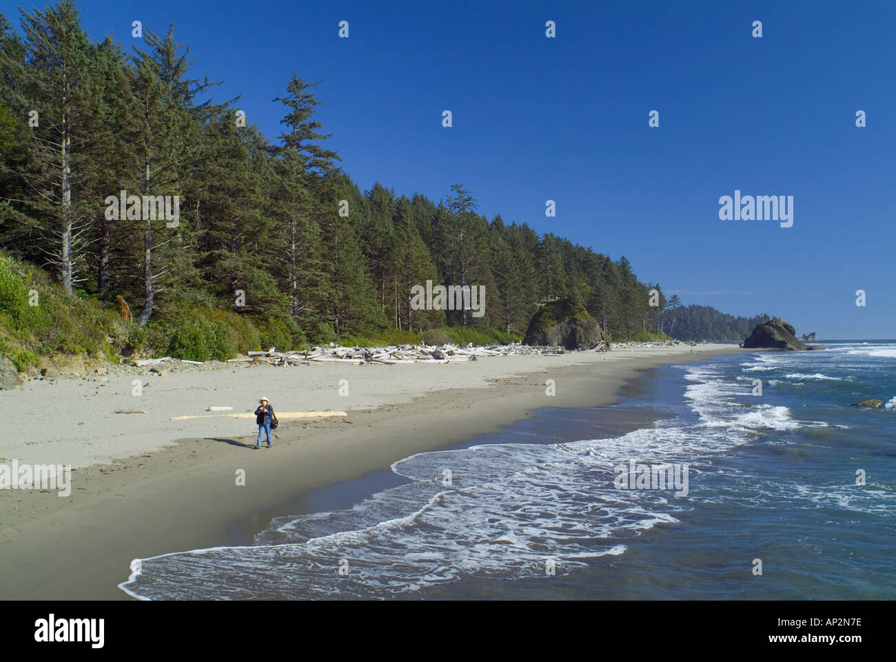 Washington State WA Olympic National Park Second Beach coast coastal ...