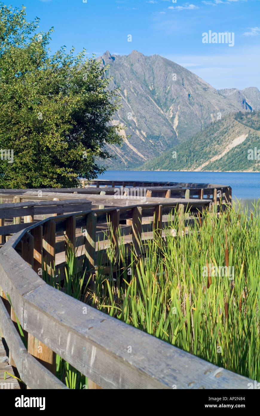 Mount St Helens National Volcanic Monument Coldwater Lake mountain ...