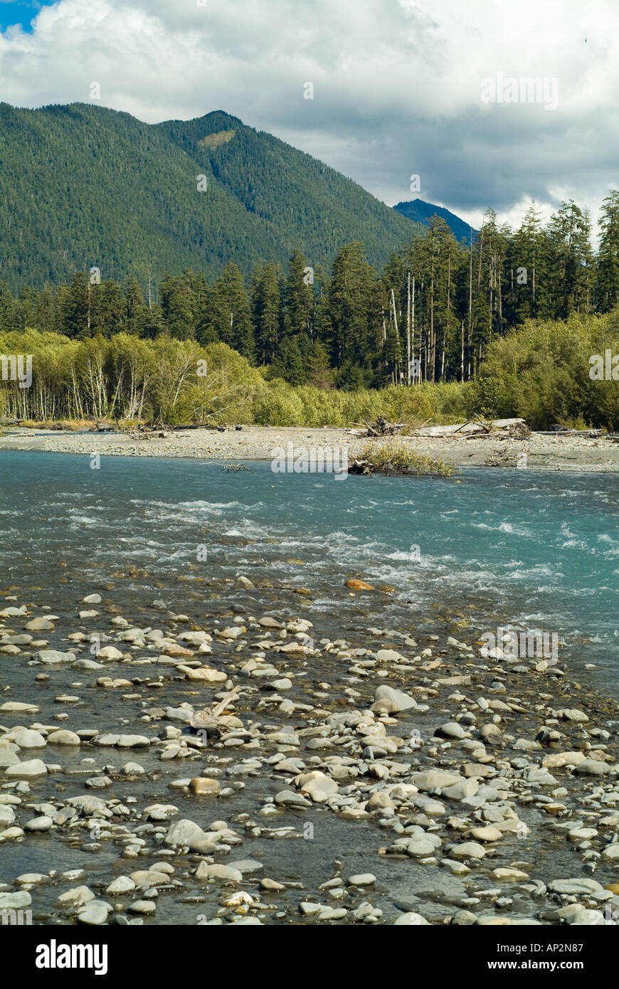 Hoh River at Hoh Rainforest Olympic National Park Washington State WA ...