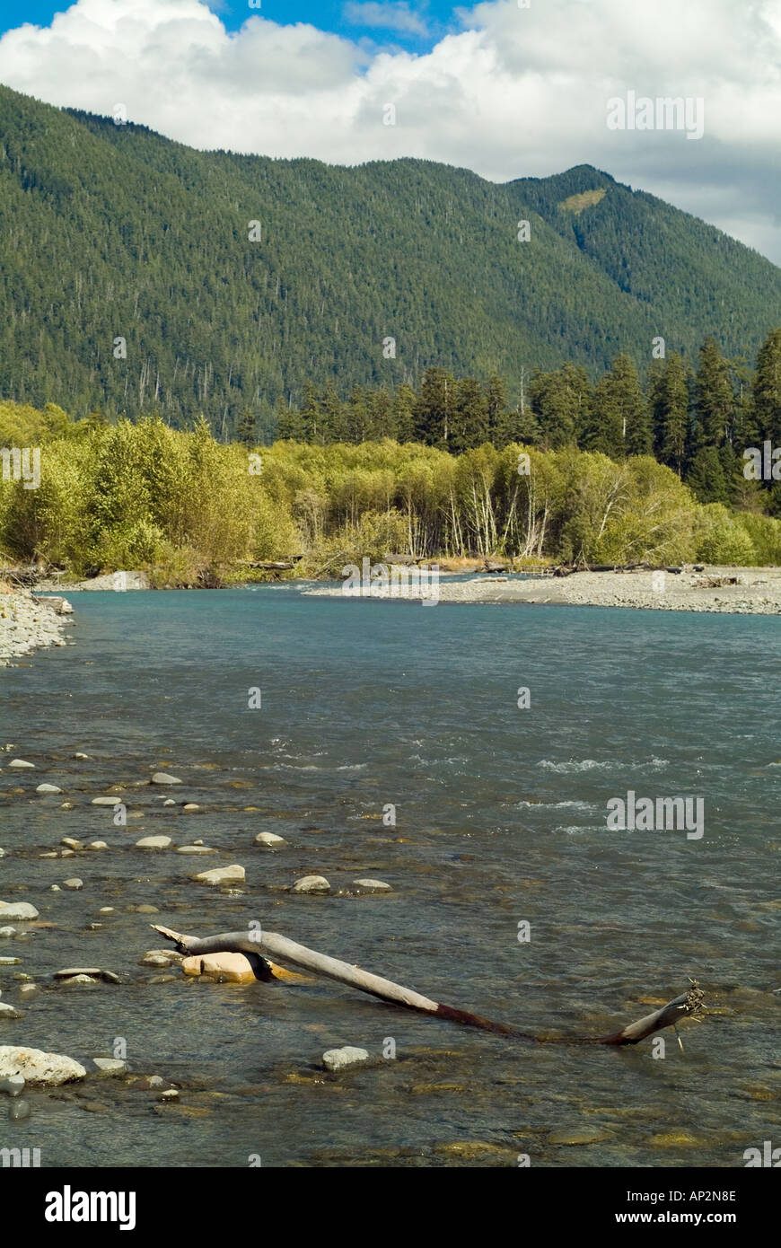 Hoh River at Hoh Rainforest Olympic National Park Washington State WA ...