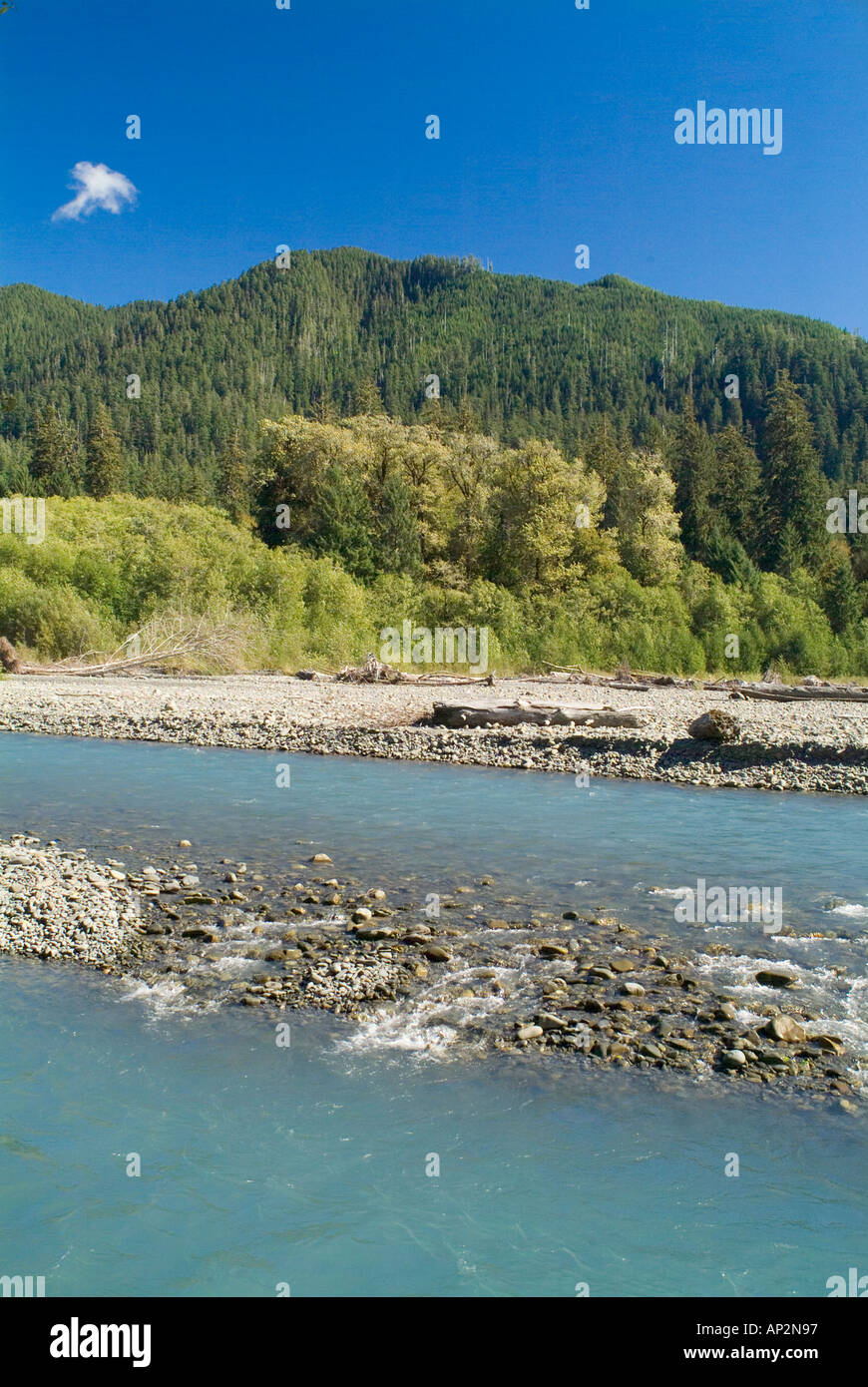 Hoh River at Hoh Rainforest Olympic National Park Washington State WA ...