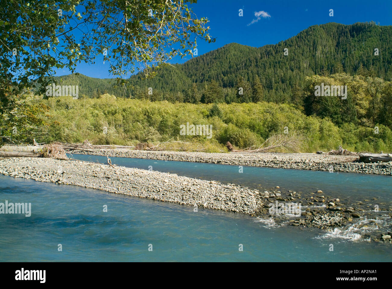 Hoh River at Hoh Rainforest Olympic National Park Washington State WA ...