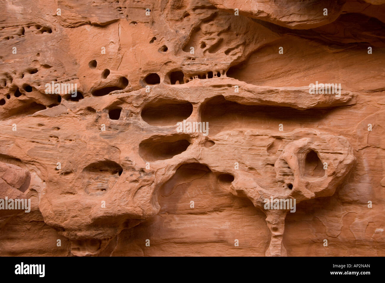 Distinctive erosion patterns in sandstone cliff Arches National Park ...