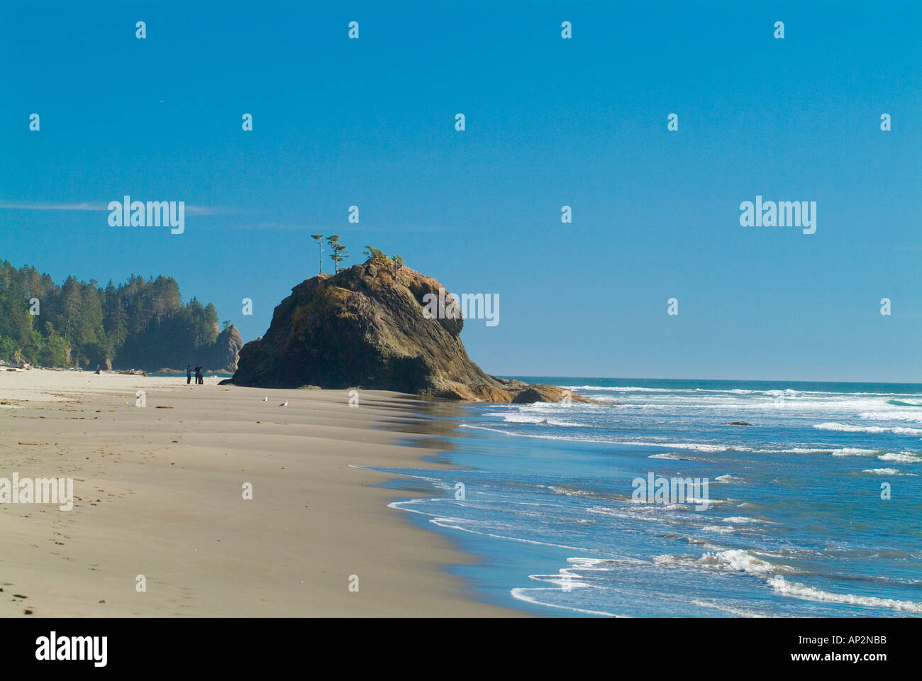 Washington State WA Olympic National Park Second Beach coast coastal ...