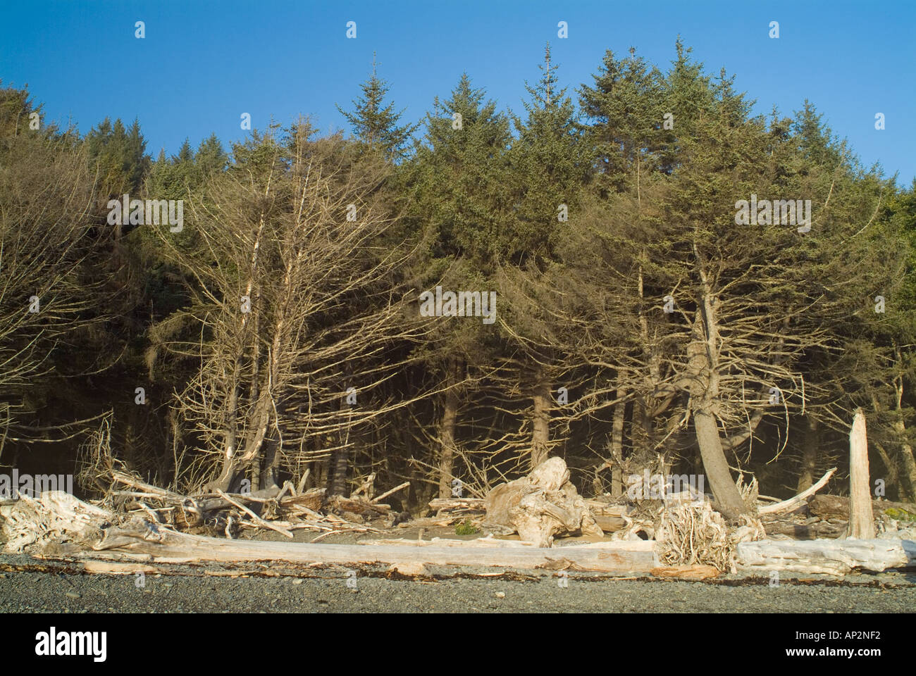 Rialto Beach Olympic National Park Washington State WA seashore coastal ...