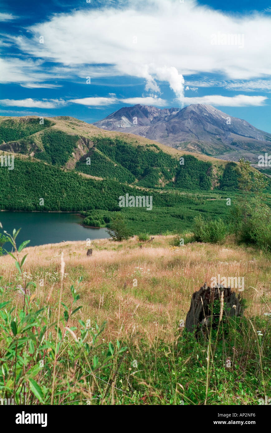 Mount St Helens National Volcanic Monument mountain Saint MT volcano ...
