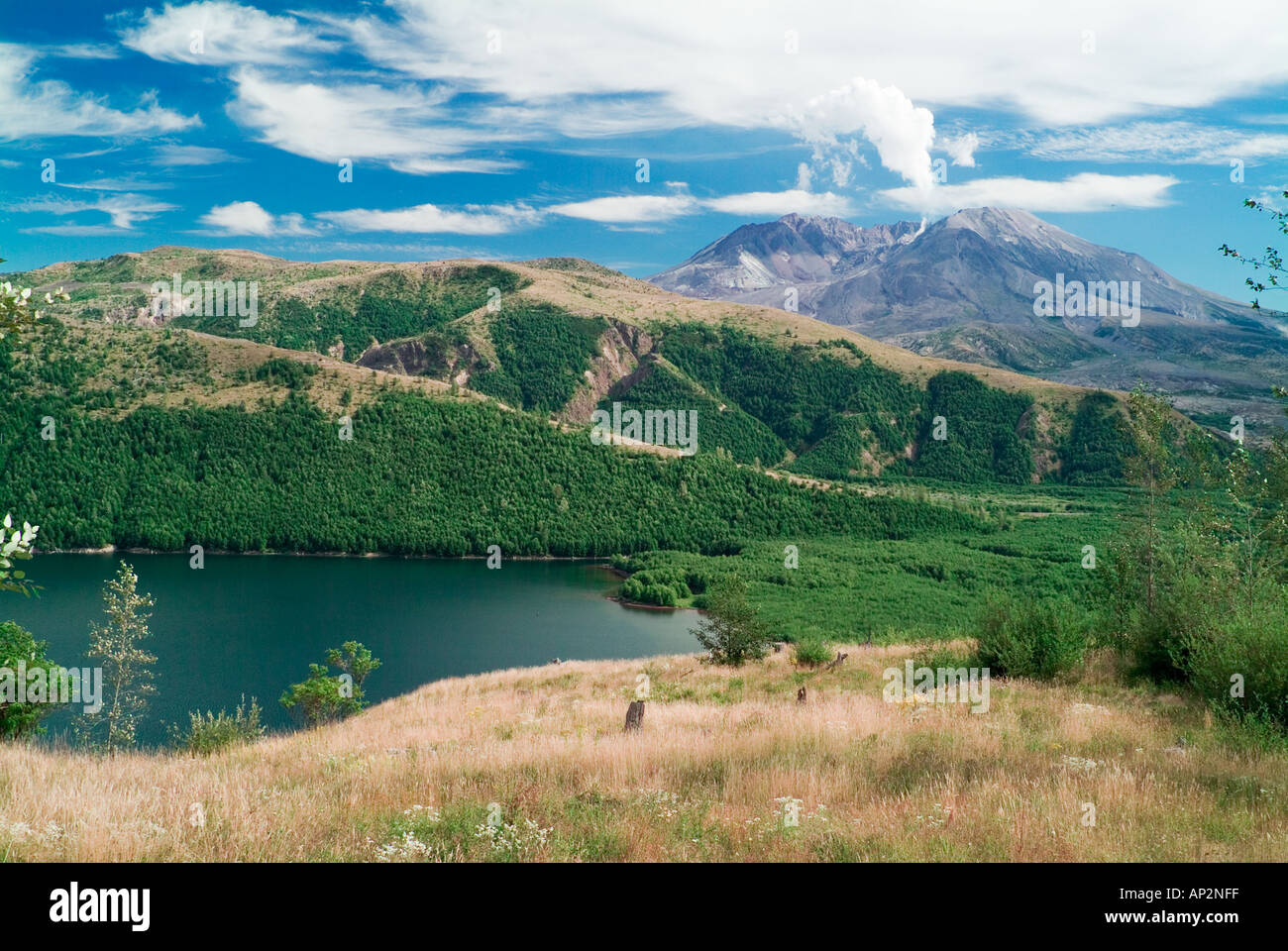 Mount St Helens National Volcanic Monument mountain Saint MT volcano ...