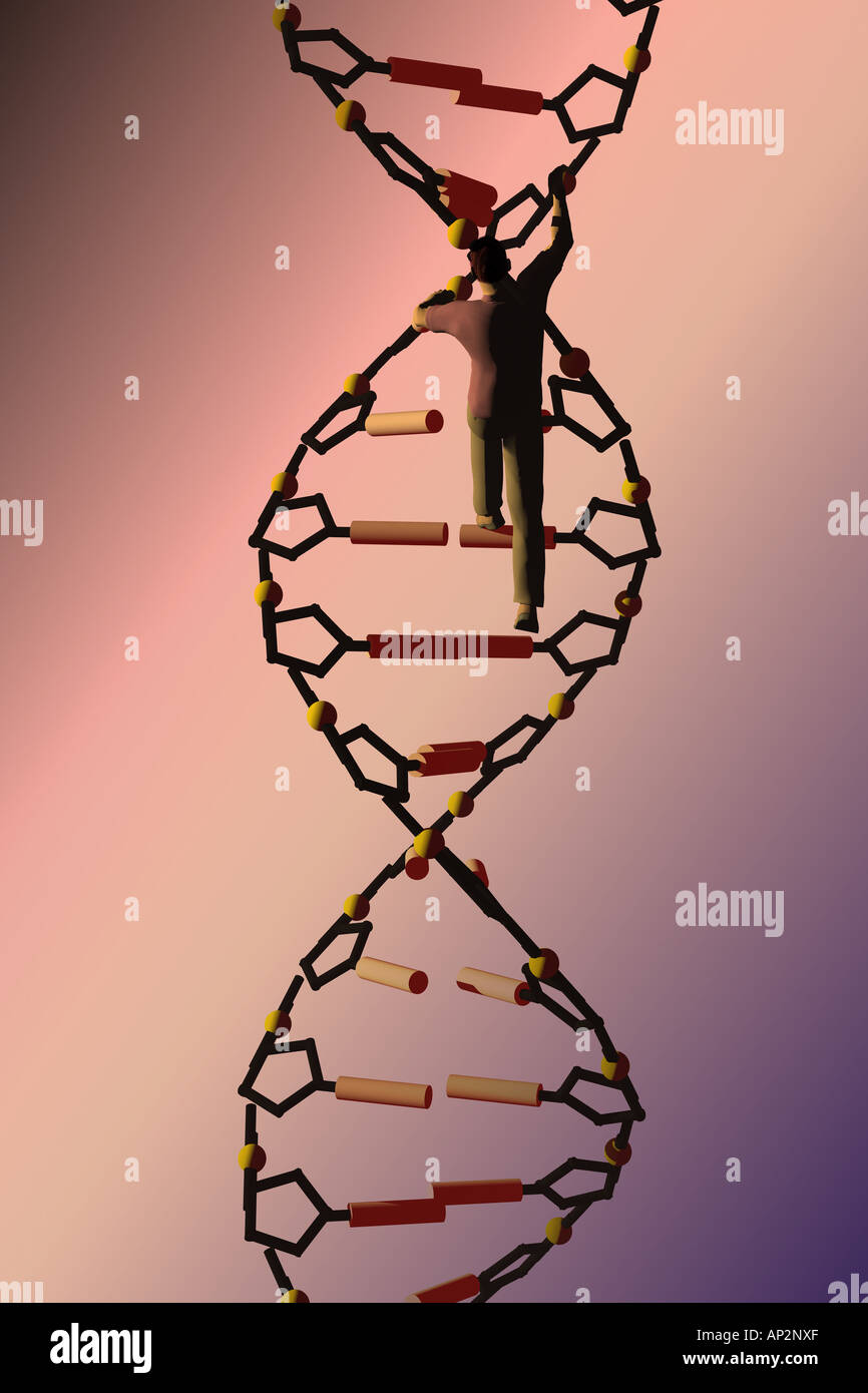 Dna ladder hi-res stock photography and images - Alamy