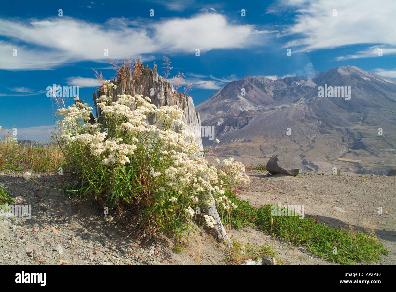 Mount St Helens National Volcanic Monument mountain Saint MT volcano ...