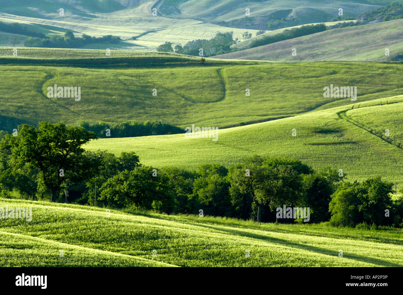 Countryside known as Crete Sensei, Tuscany, Italy Stock Photo - Alamy