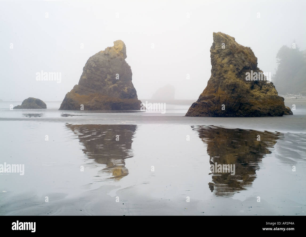 Ruby Beach Olympic National Park Washington State WA beaches coastal ...