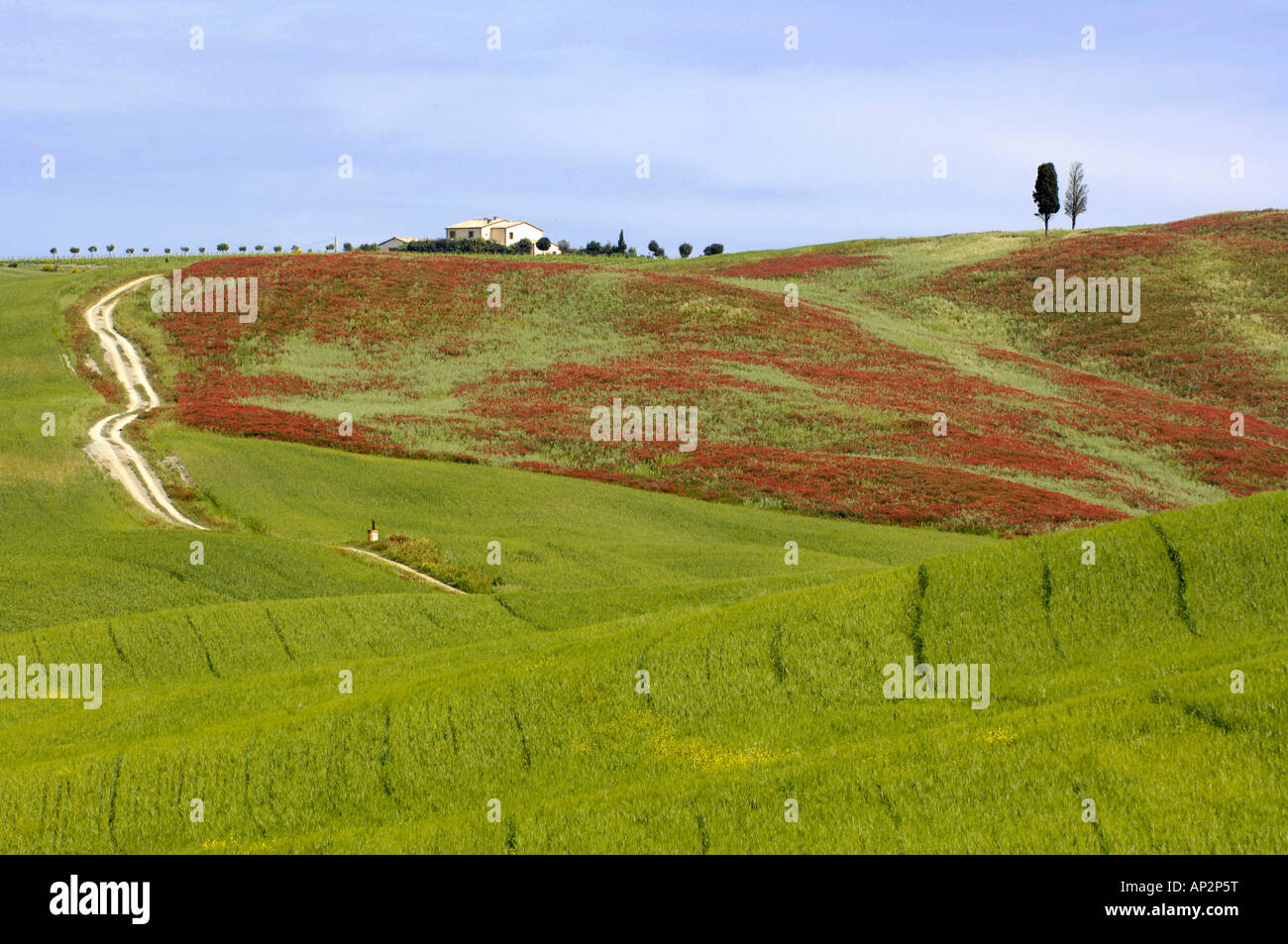 Countryside in the Crete Senesi, Tuscany, Italy Stock Photo - Alamy