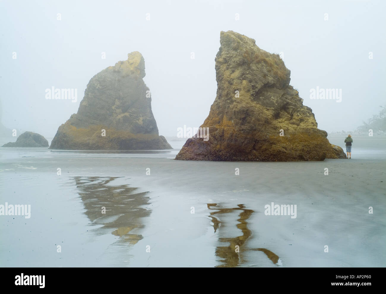 Ruby Beach Olympic National Park Washington State WA beaches coastal ...