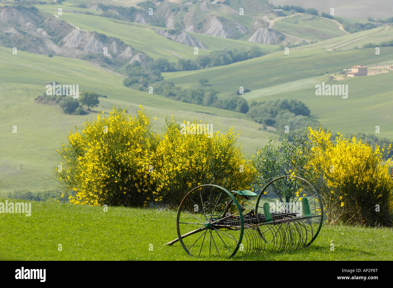 Countryside in Crete Senesi, Tuscany, Italy Stock Photo - Alamy