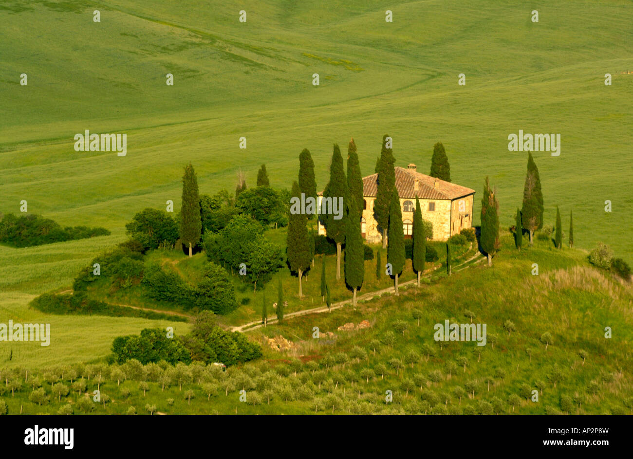Farm with cypress trees, Crete Senesi, Tuscany, Italy Stock Photo - Alamy