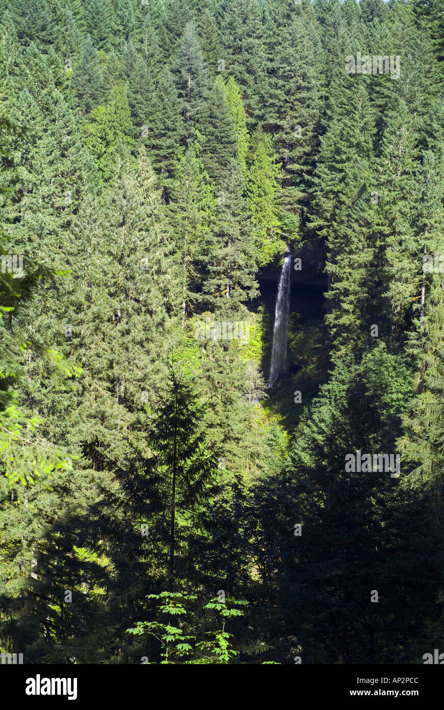 North Falls at Silver Falls State Park near Silverton Oregon OR ...
