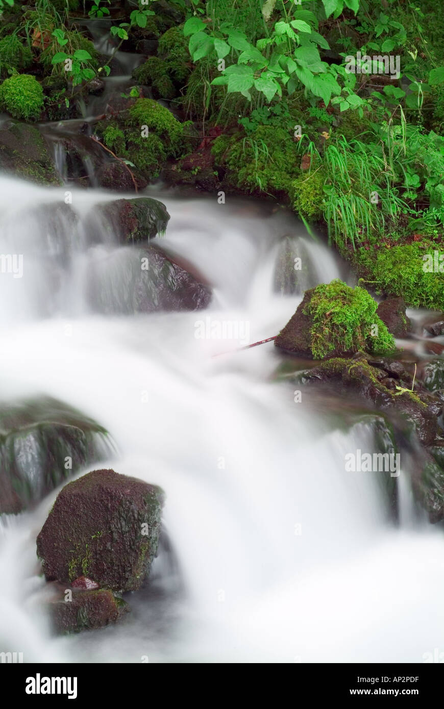 Wahkeena Falls Oregon Historic Columbia River Scenic Highway corridor ...