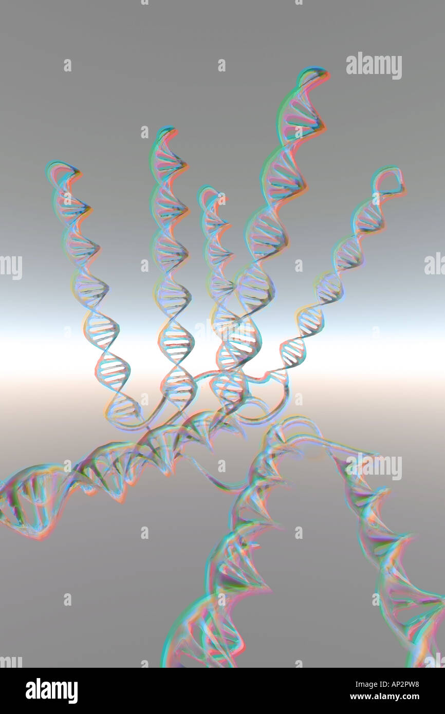 Mirna and rna hi-res stock photography and images - Alamy