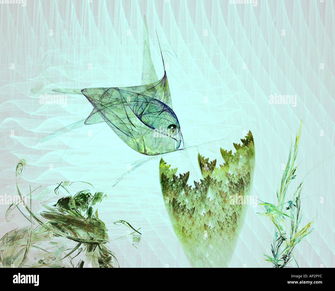 Fractal coral hi-res stock photography and images - Alamy